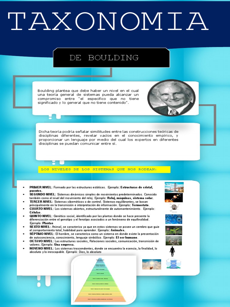 Taxonomia Boulding | PDF
