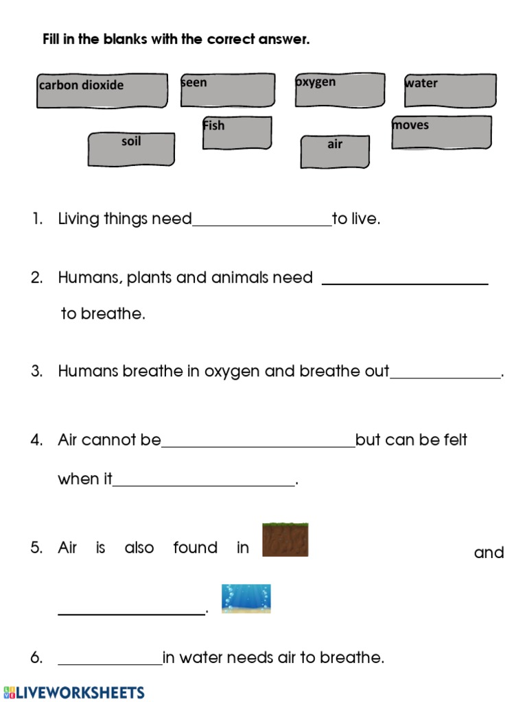 Worksheet Air Year2 | PDF | Science & Mathematics