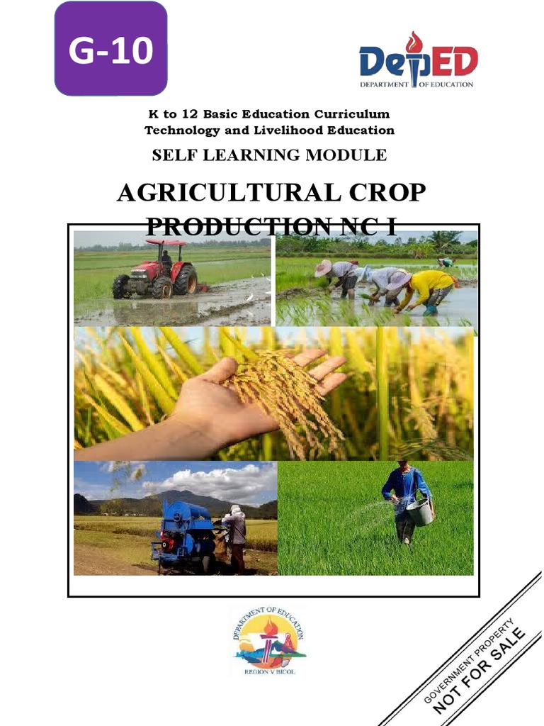 Agricrop Production-Quarter 2.grade 10 | Download Free PDF | Waste ...