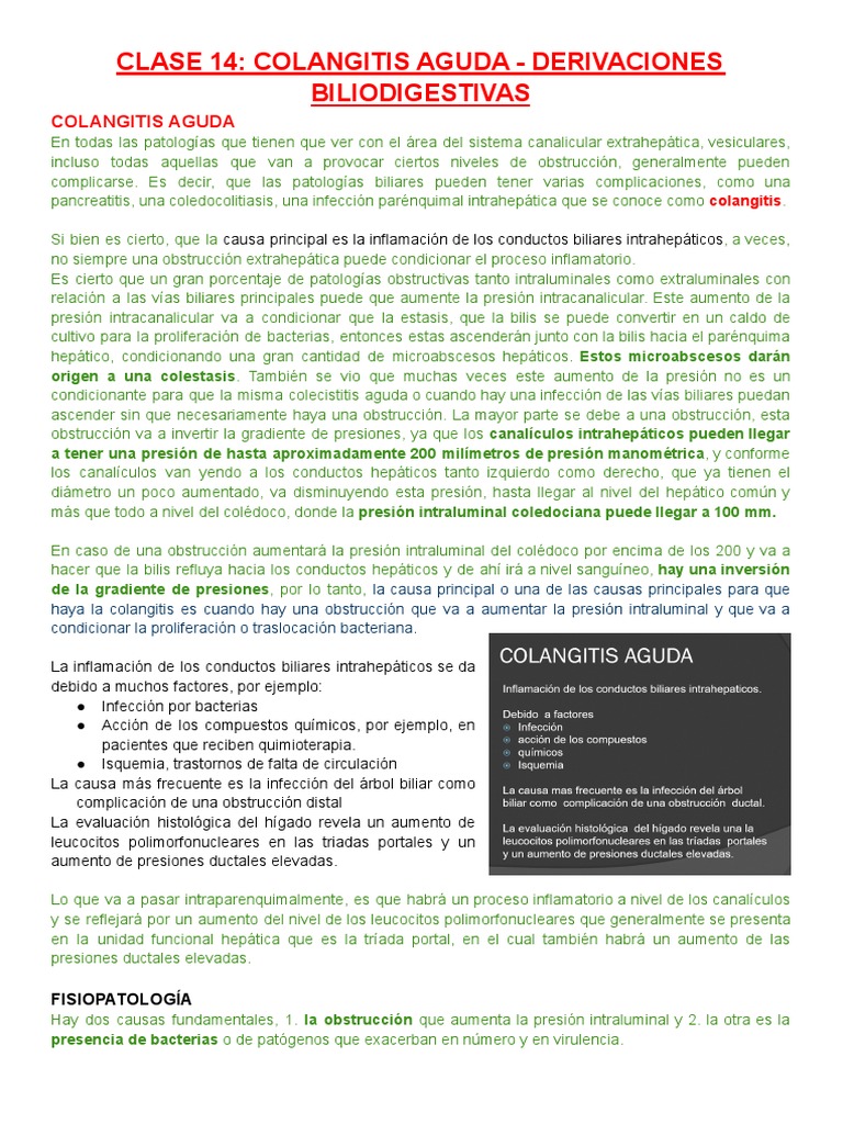 Clase 14 - Colangitis Aguda - Derivaciones Biodigestivas | PDF | Bilis ...