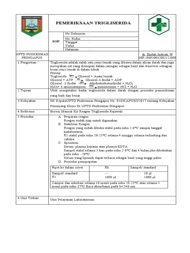 Pemeriksaan Trigliserida | PDF