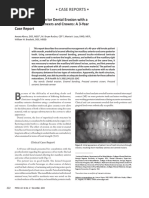 Brain Anatomy Mnemonics Guide | PDF | Brain | Anatomy