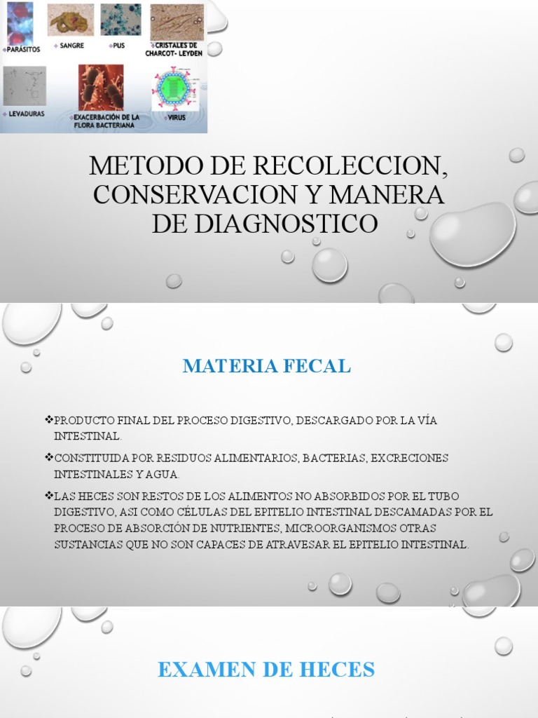 Metodo de Recoleccion, Conservacion y Manera de | PDF | Heces | Especialidades Medicas