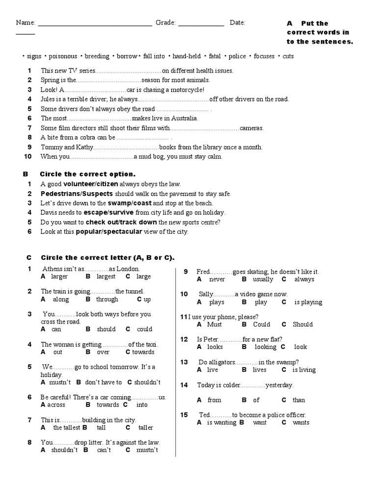 Grade 8 Test | PDF