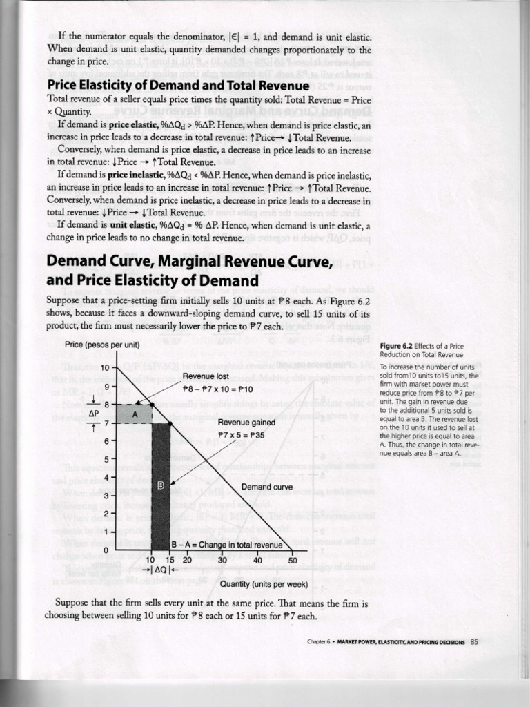 Markey Power, Elasticity, and Pricing Decision | PDF