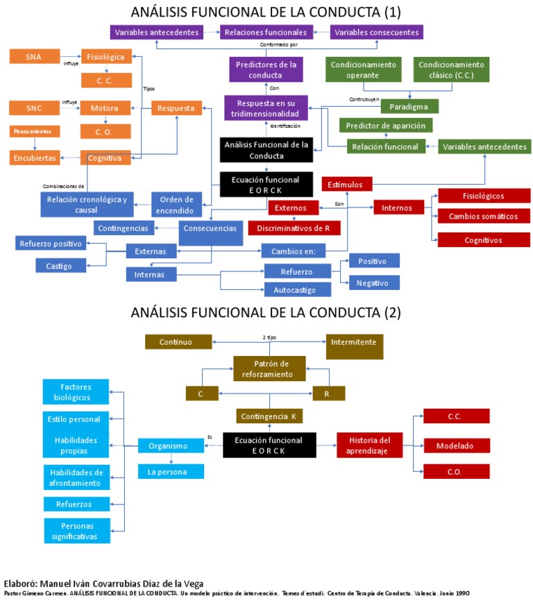 Mapa Conceptual Analisis Funcional | PDF | Comportamiento | Behaviorismo