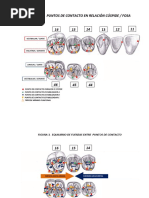 Diagrama de Posselt y Movimientos Mandibulares | PDF | Estudios de ...