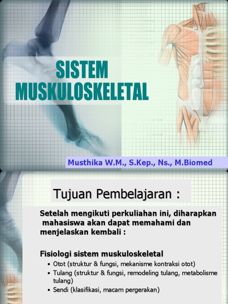 Faal Sistem Muskulo New | PDF