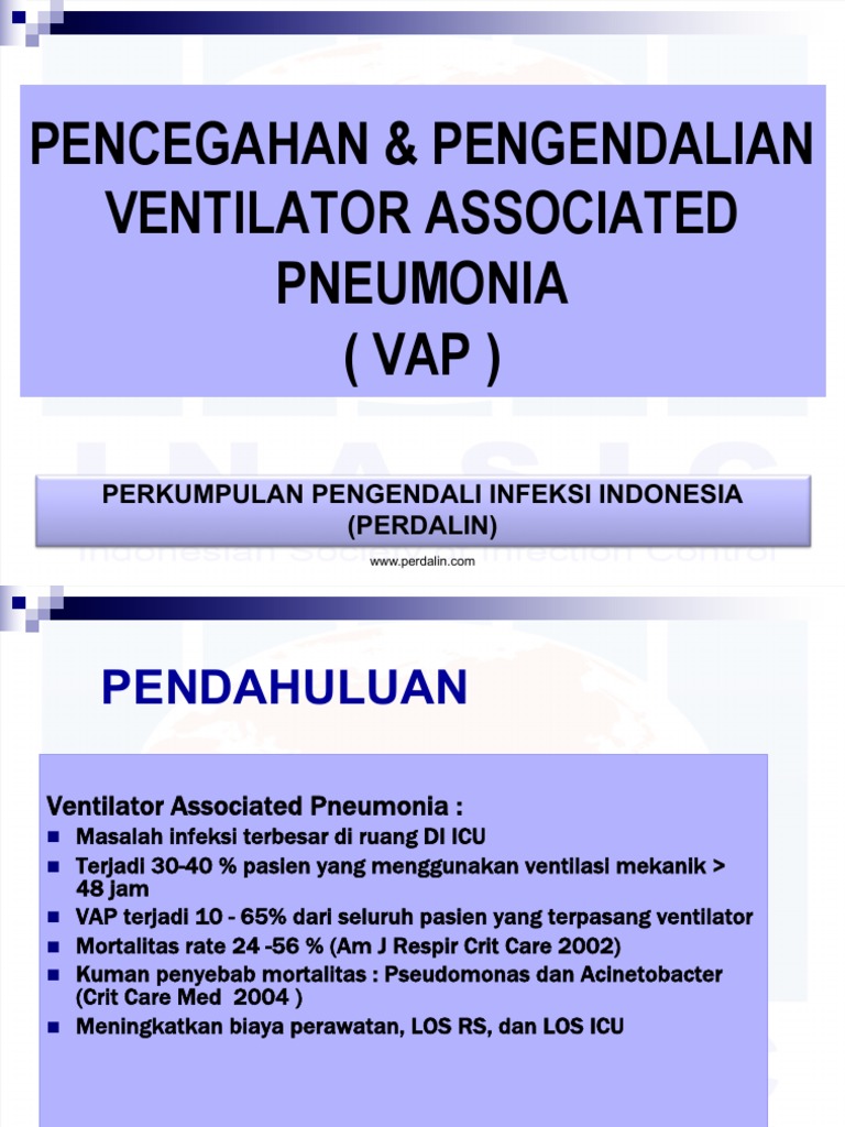 Ppi Bundles Vap | PDF