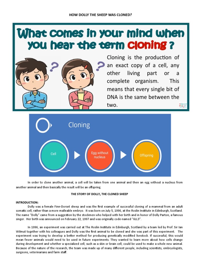 Dolly the Sheep: Cloning and Legacy | PDF | Cloning | Reproduction