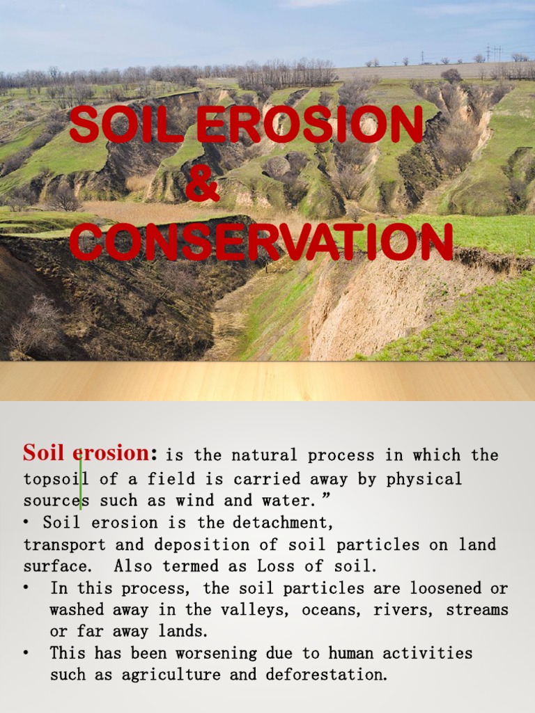 Soil Erosion 5 | PDF | Erosion | Soil