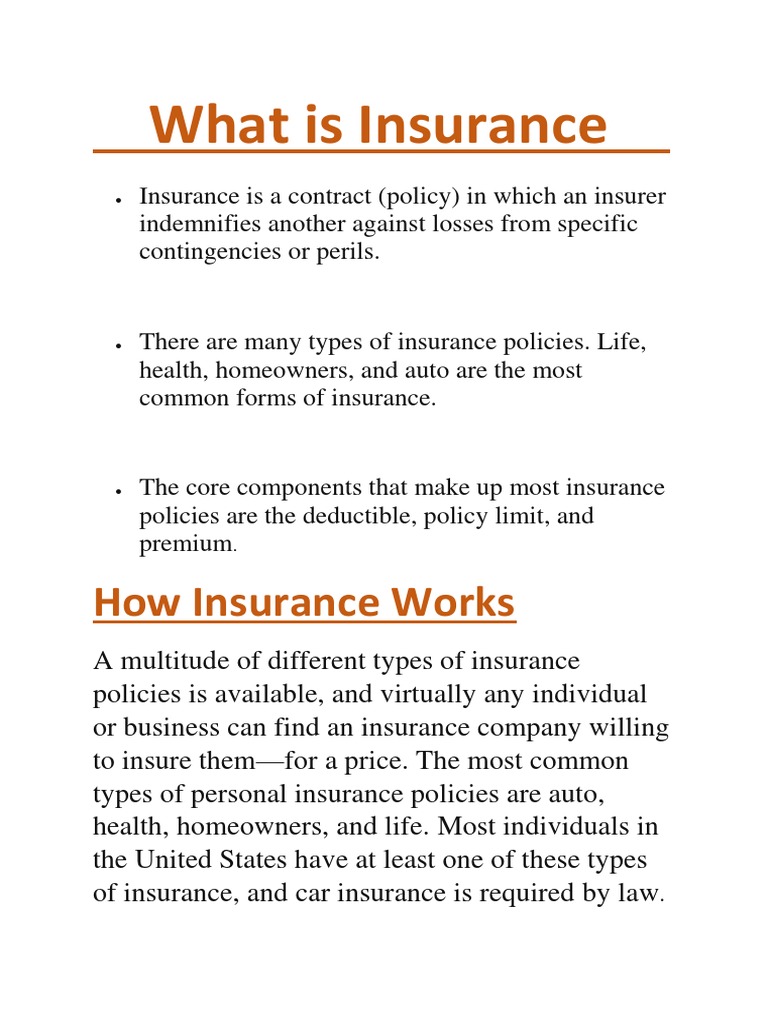 An In-Depth Look at the Types, Components, and Importance of Insurance ...