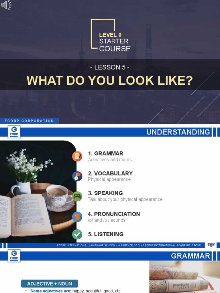 Describing Physical Appearance | PDF | Adjective | Noun