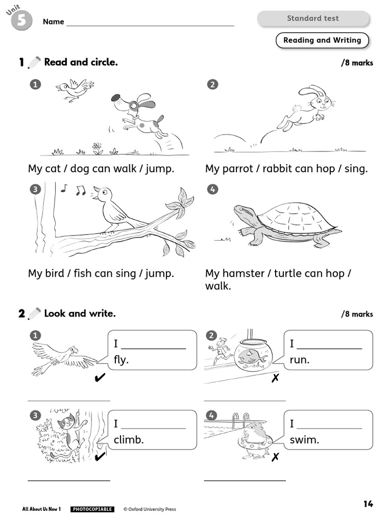 All About Us 5 | PDF