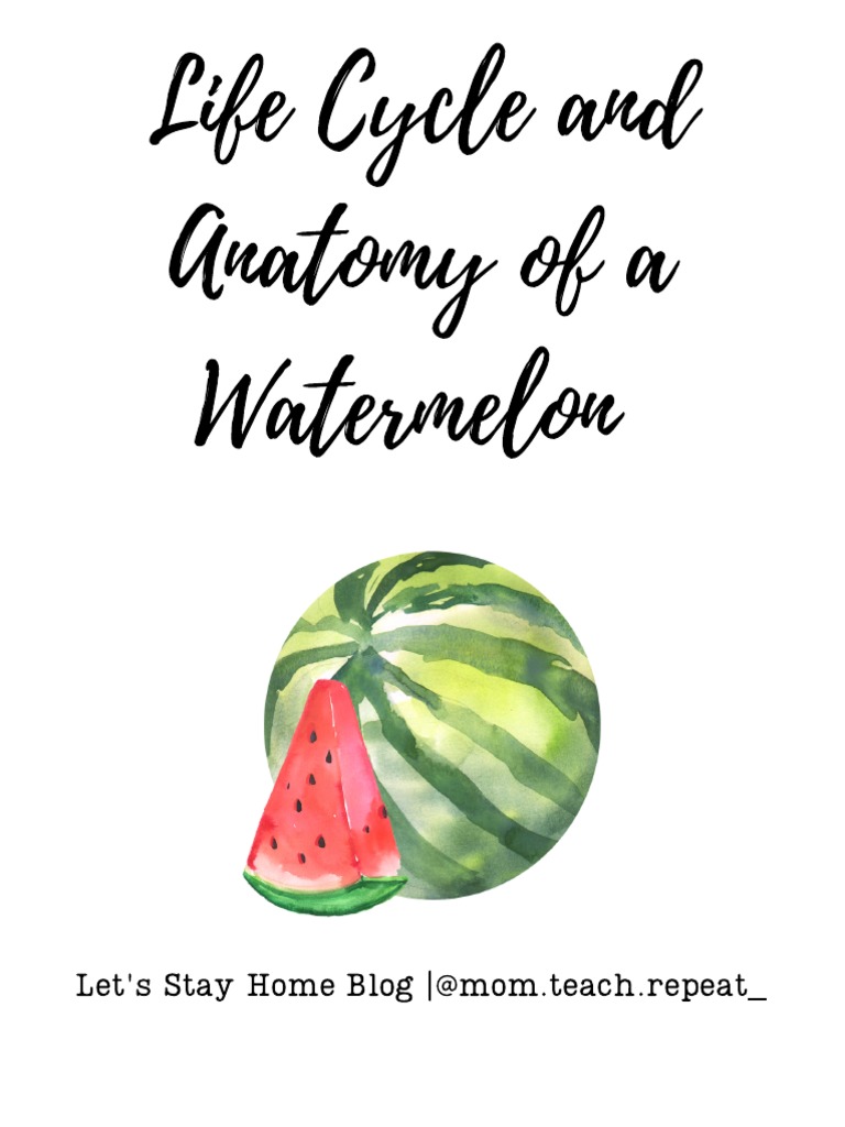 Watermelon Life Cycle and Anatomy Secured | PDF