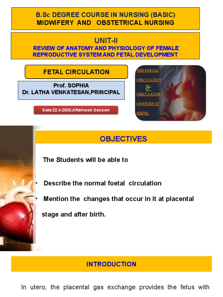 Fetal Circulation | PDF