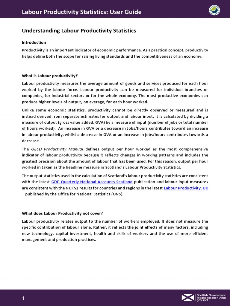 Labour Productivity Statistics - User Guide | PDF