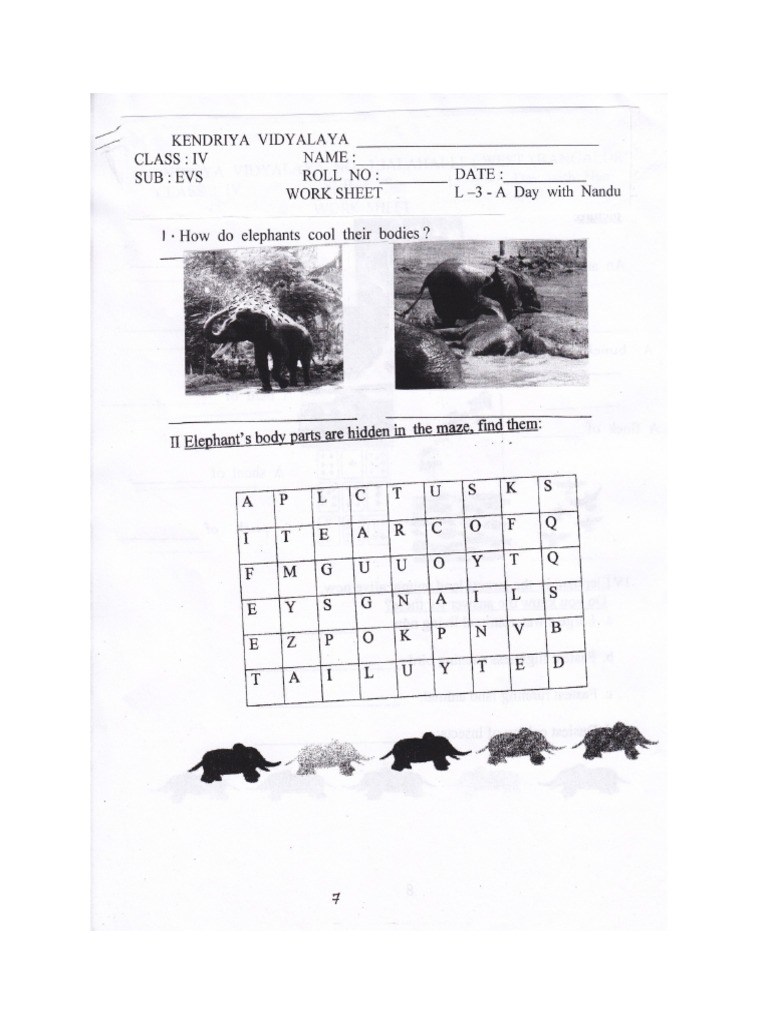 CH 3 A Day With Nandu | PDF