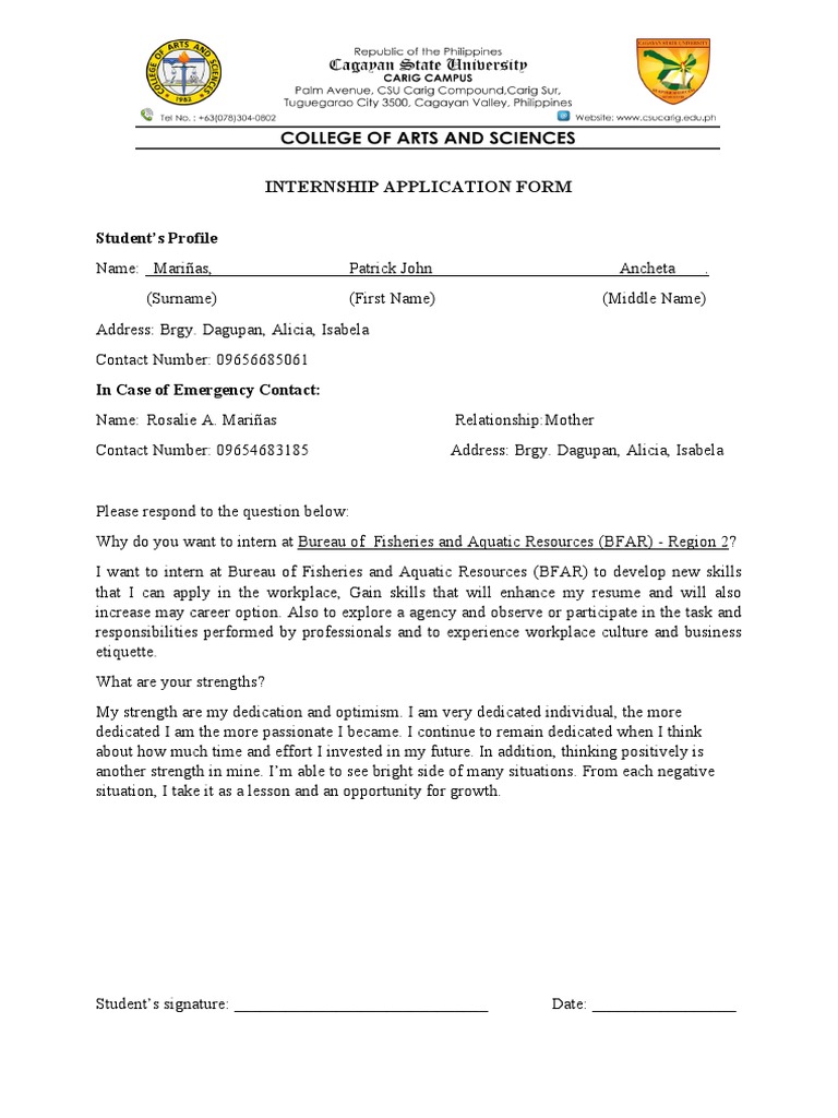 Internship Application Form Pdf