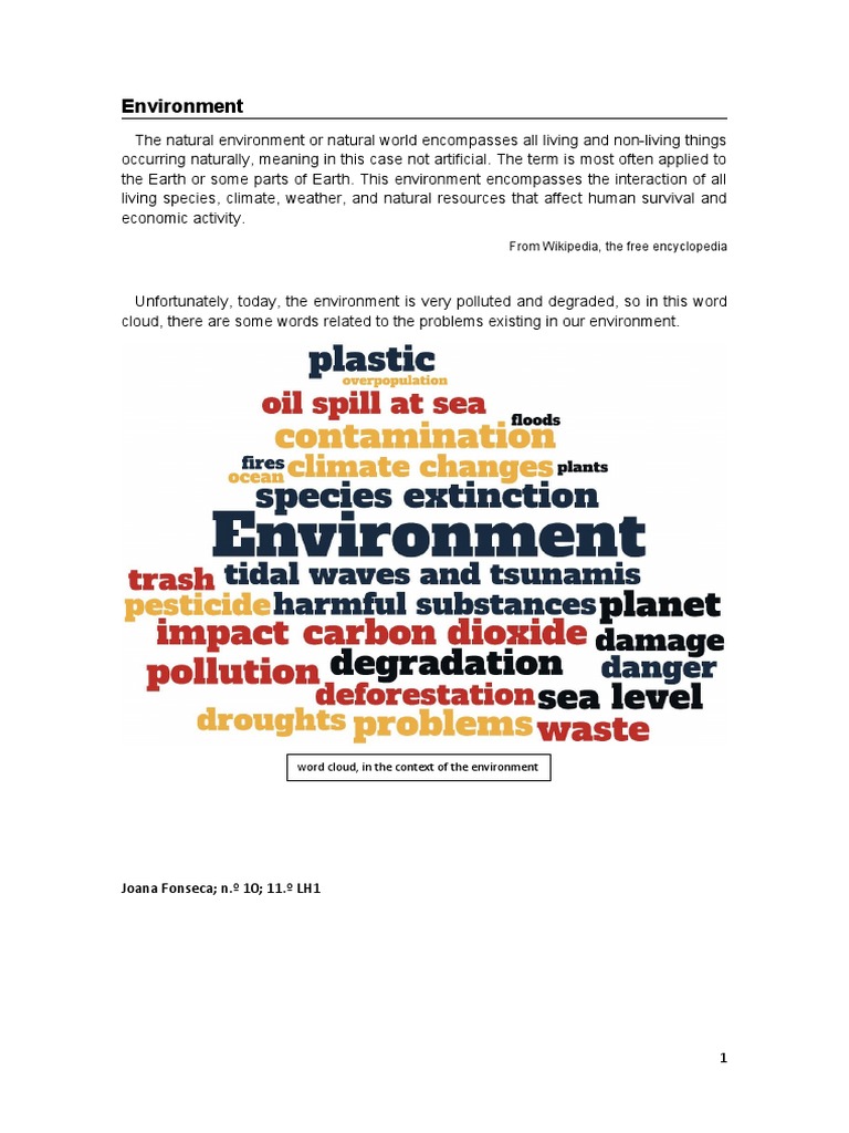 Word Cloud - Environment | PDF