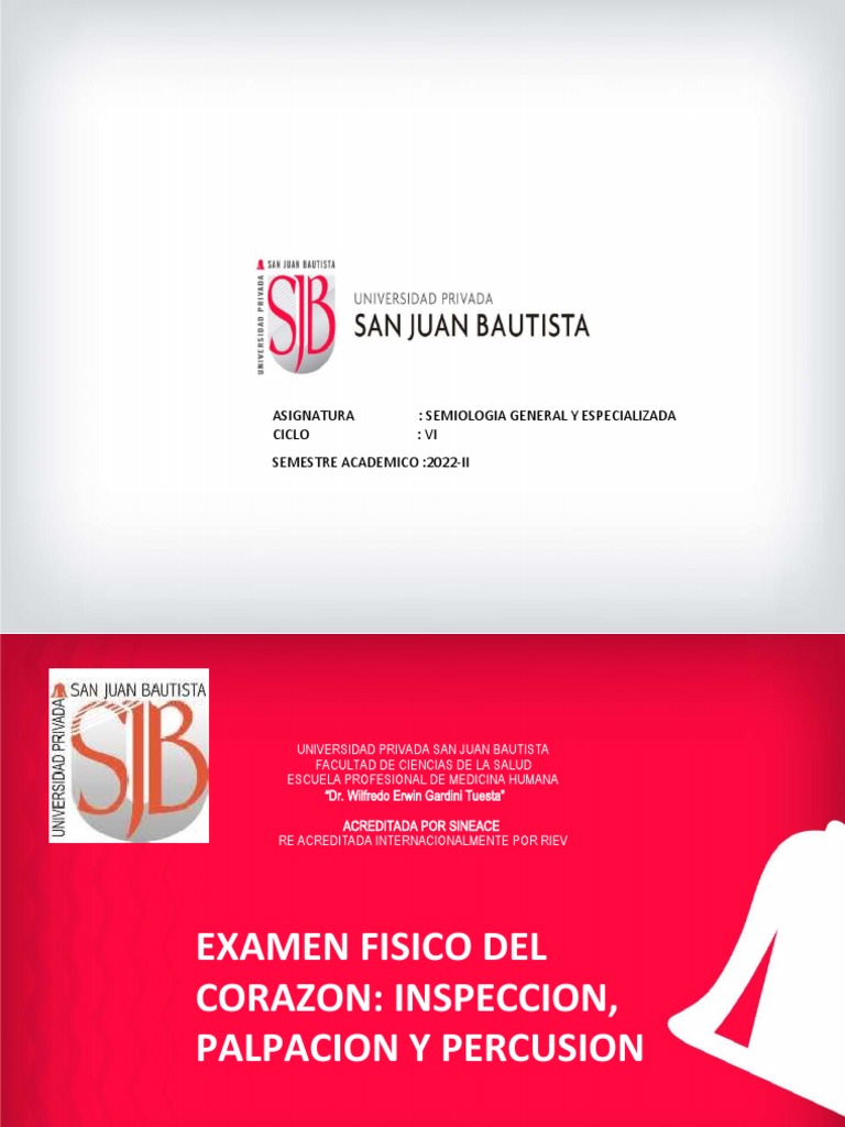 Clase 3 CARDIO INSPECCION PALPACION PERCUSION | PDF | Corazón ...