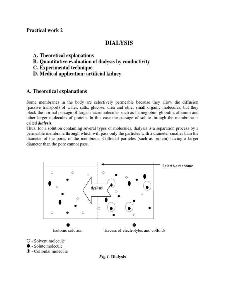 Practical Work 2 | PDF