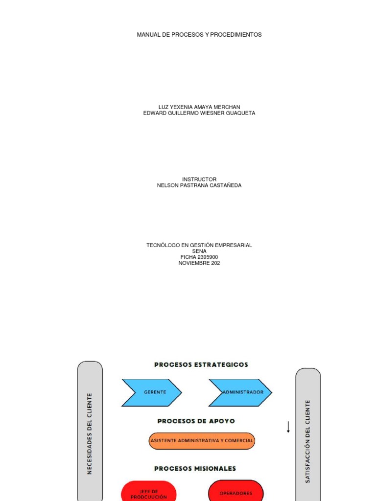 Manual de Procesos y Procedimientos | PDF | Calidad (comercial ...