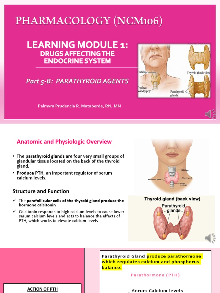 Module 1 Part 5B. Parathyroid Agents | PDF | Parathyroid Gland | Medical Specialties