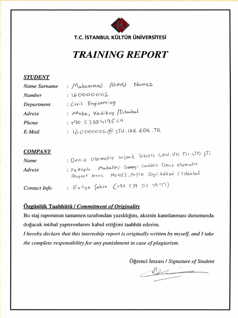 Report of Excavation and Pile Reinforcement | PDF