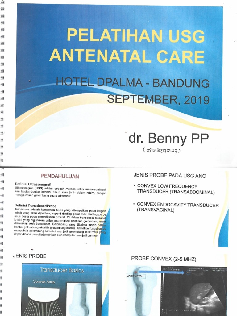 Modul Pelatihan USG ANC | PDF