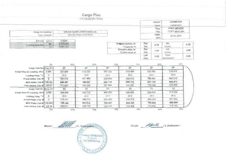 2 - Cargo Plan (1 Page) | PDF