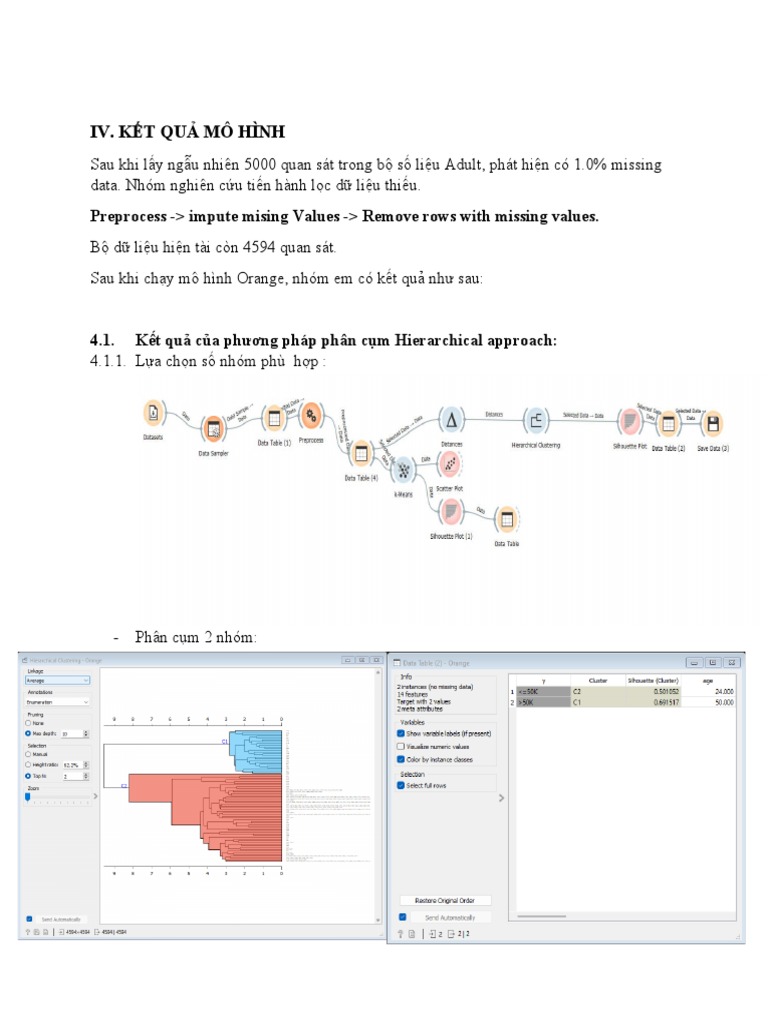 Iv. Kết Quả Mô Hình: Preprocess -> impute mising Values -> Remove rows with missing values | PDF