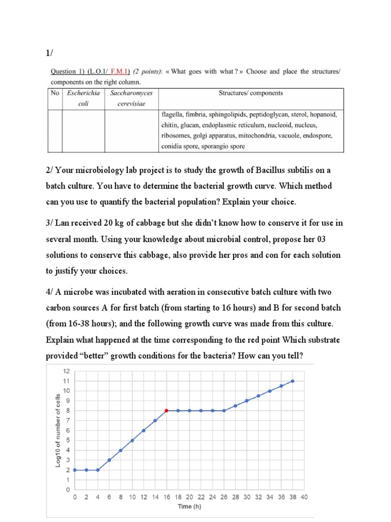 Bai On Thi Giua Ki | PDF | Science & Mathematics