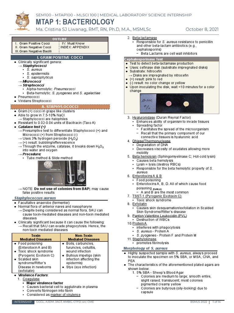 MTAP - 1.1 - Bacteriology | PDF | Streptococcus | Staphylococcus