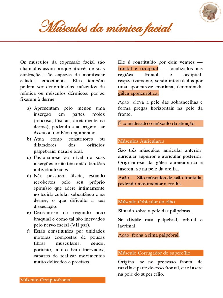 Músculos da Mímica Facial e Suas Funções | PDF | Rosto | Boca