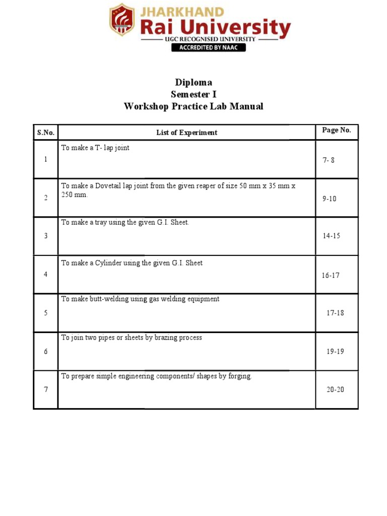 Diploma Workshop Practice I | PDF