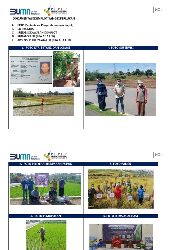 FORM LAPORAN DEMPLOT Yusi 2 | PDF