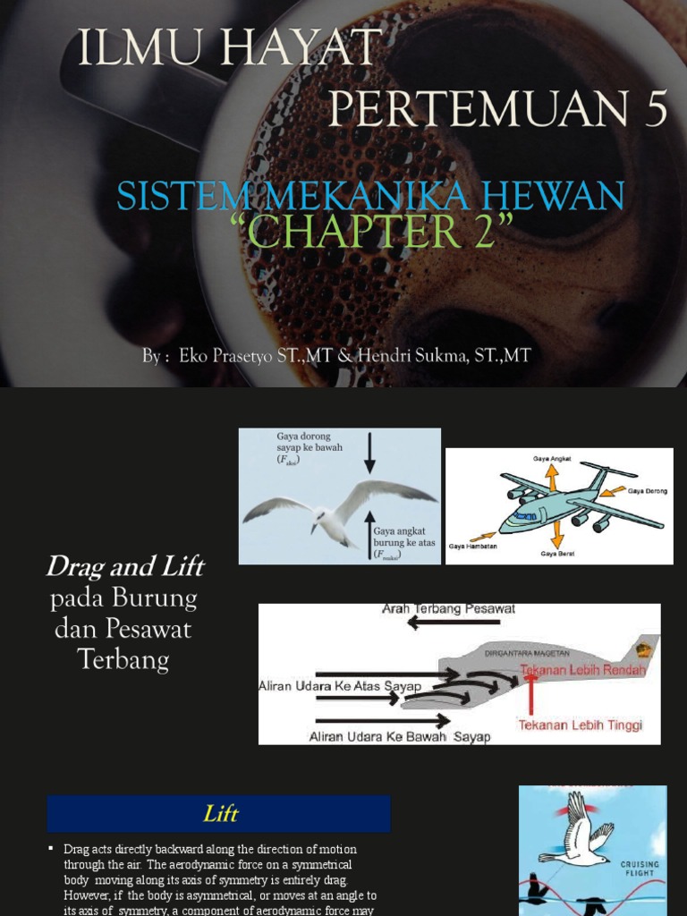 Sistem Mekanika Hewan 2 | PDF | Lift (Force) | Airfoil