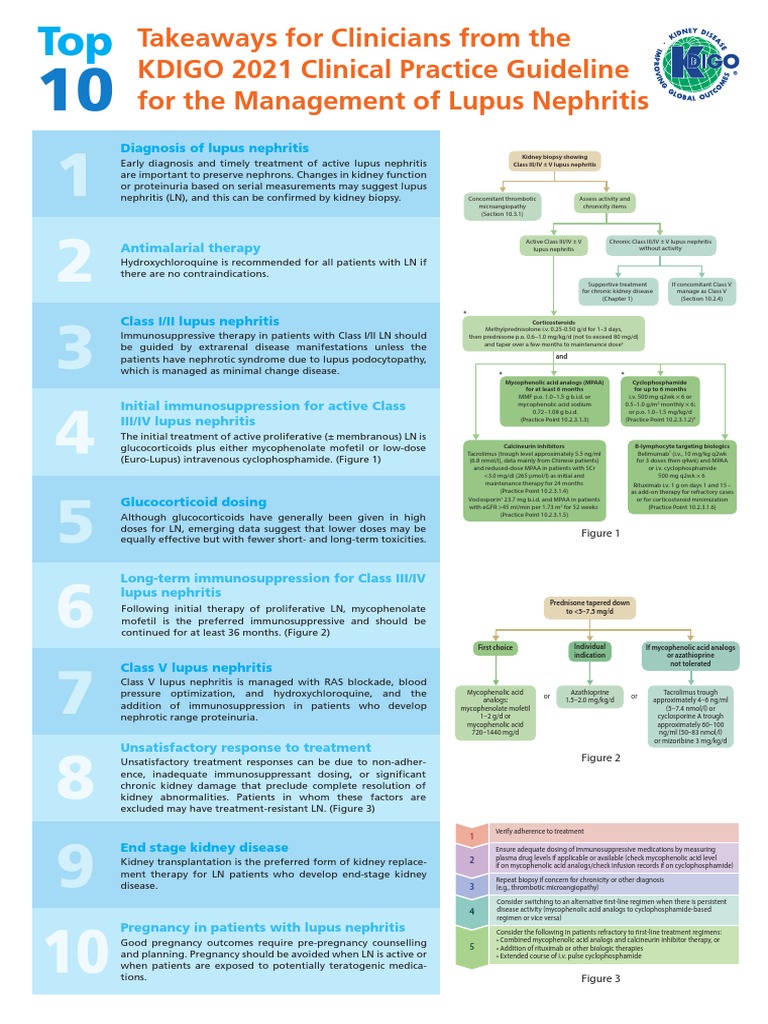KDIGO GD Guideline Key Takeaways For Clinicians Lupus Nephritis | PDF ...