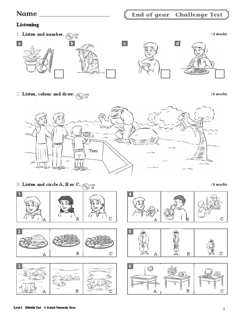 Editable Test End of Year. Challenge Level | PDF