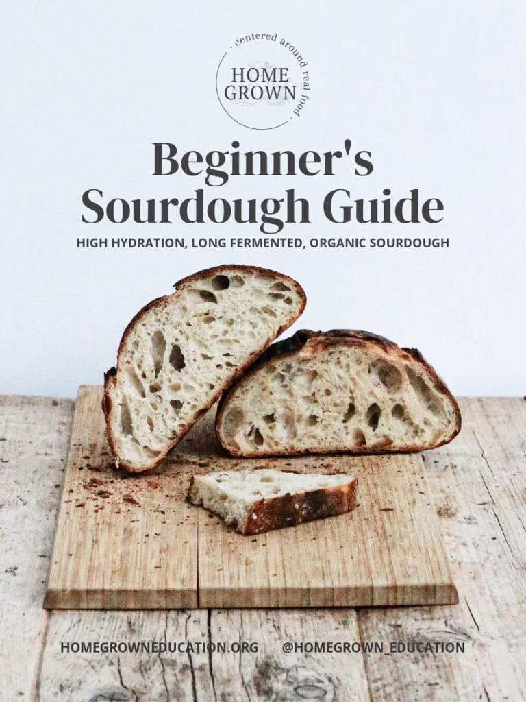 Beginners Sourdough Guide | PDF
