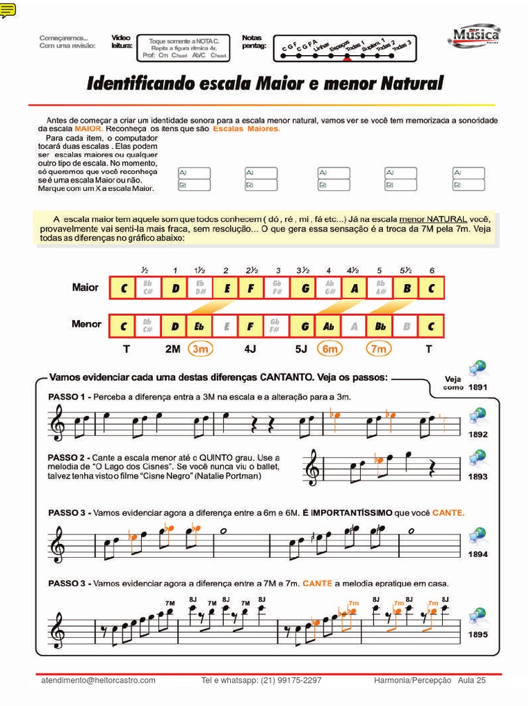 MQM - Teoria Meses 7, 8 e 9 | PDF