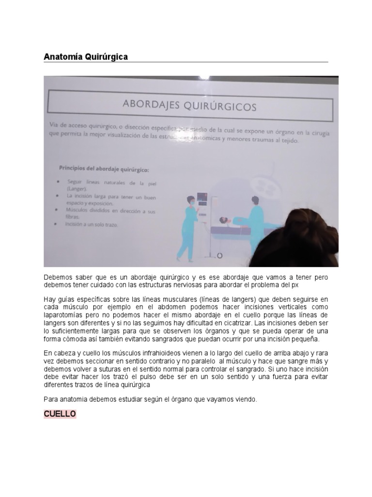 Anatomía Quirúrgica Del Cuello Estructuras Y Abordajes Pdf Tórax