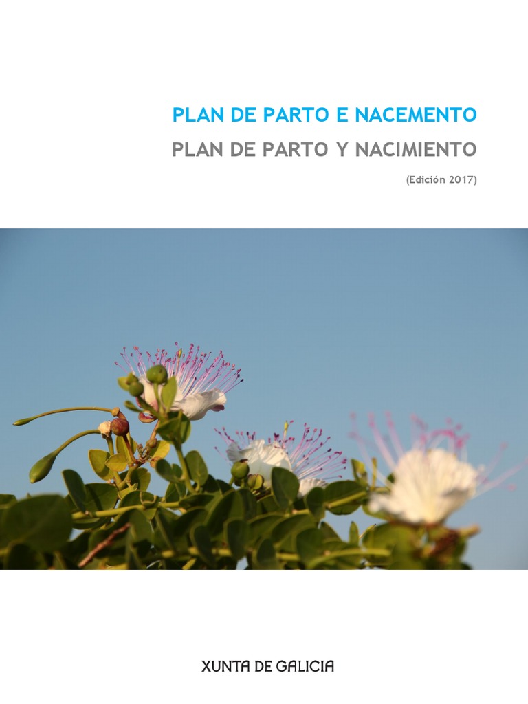 Plan de parto y nacimiento: Una guía para expresar las preferencias y ...