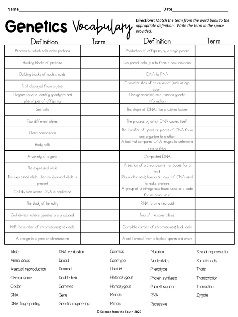 Genetics Vocab Review | PDF | Genetics | Gene