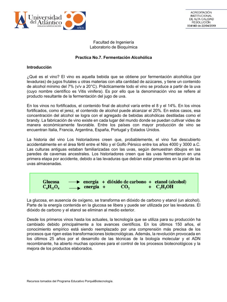 Practica No. 7. Fermentación Alcoholica | PDF | Fermentación | Vino