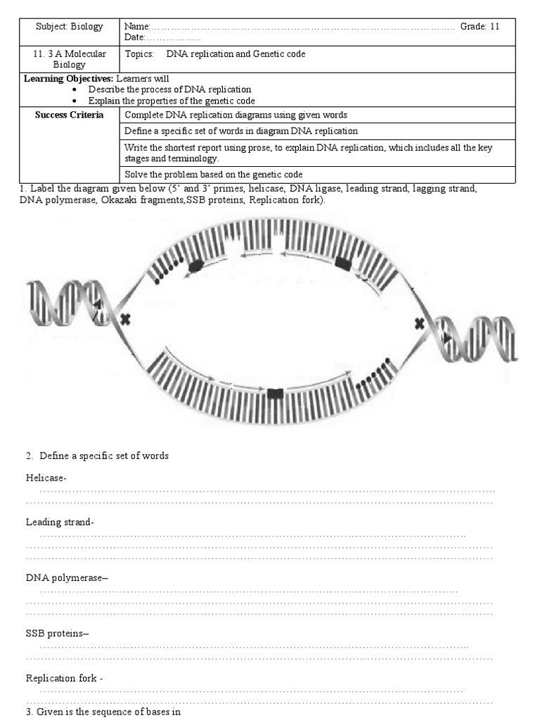 DNA Replication and Genetic Code Guide | PDF | Dna Replication | Genetics