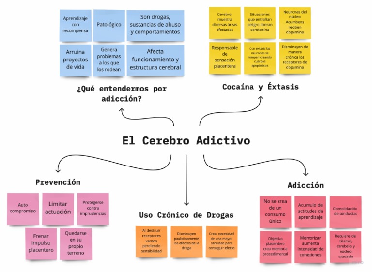 El Cerebro Adictivo | PDF