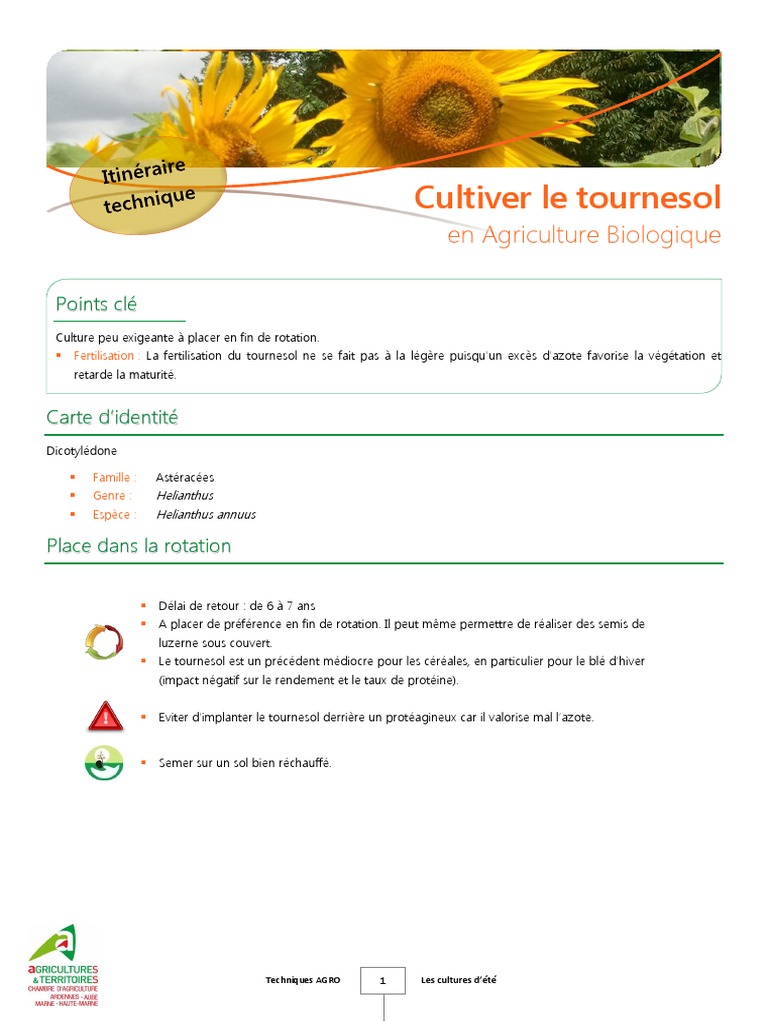 Cultiver le tournesol en bio : guide pratique | PDF | Fertilisant ...