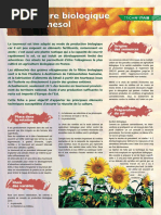 Guide de culture du macabo au Cameroun | PDF | Fertilisant | Maïs